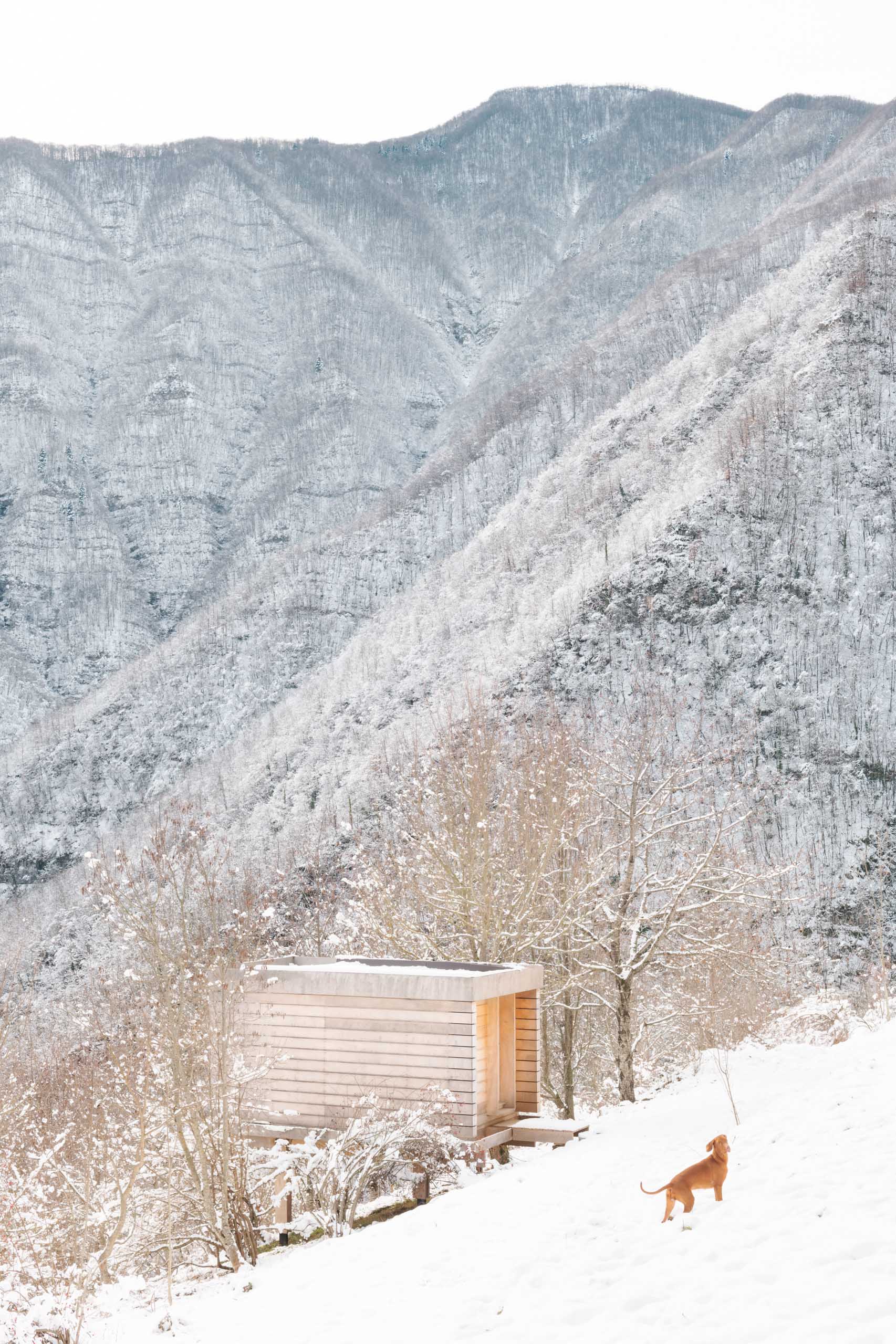 Anna Positano – Photography